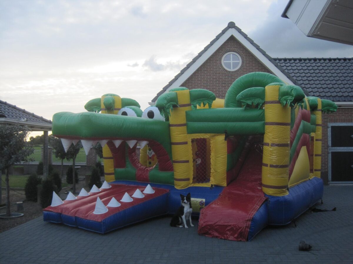 Springkussen Krokodil Multiplay - Stip Verhuur